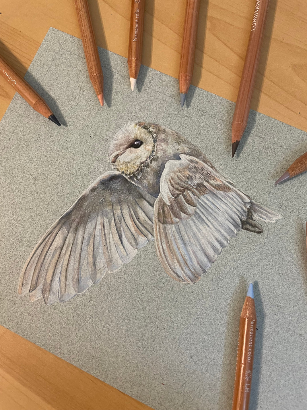 Rach Elizabeth Wildlife coloured pencil art and gifts – Rachelizabethartist