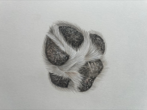 Dog paw step by step tutorial – Rachelizabethartist