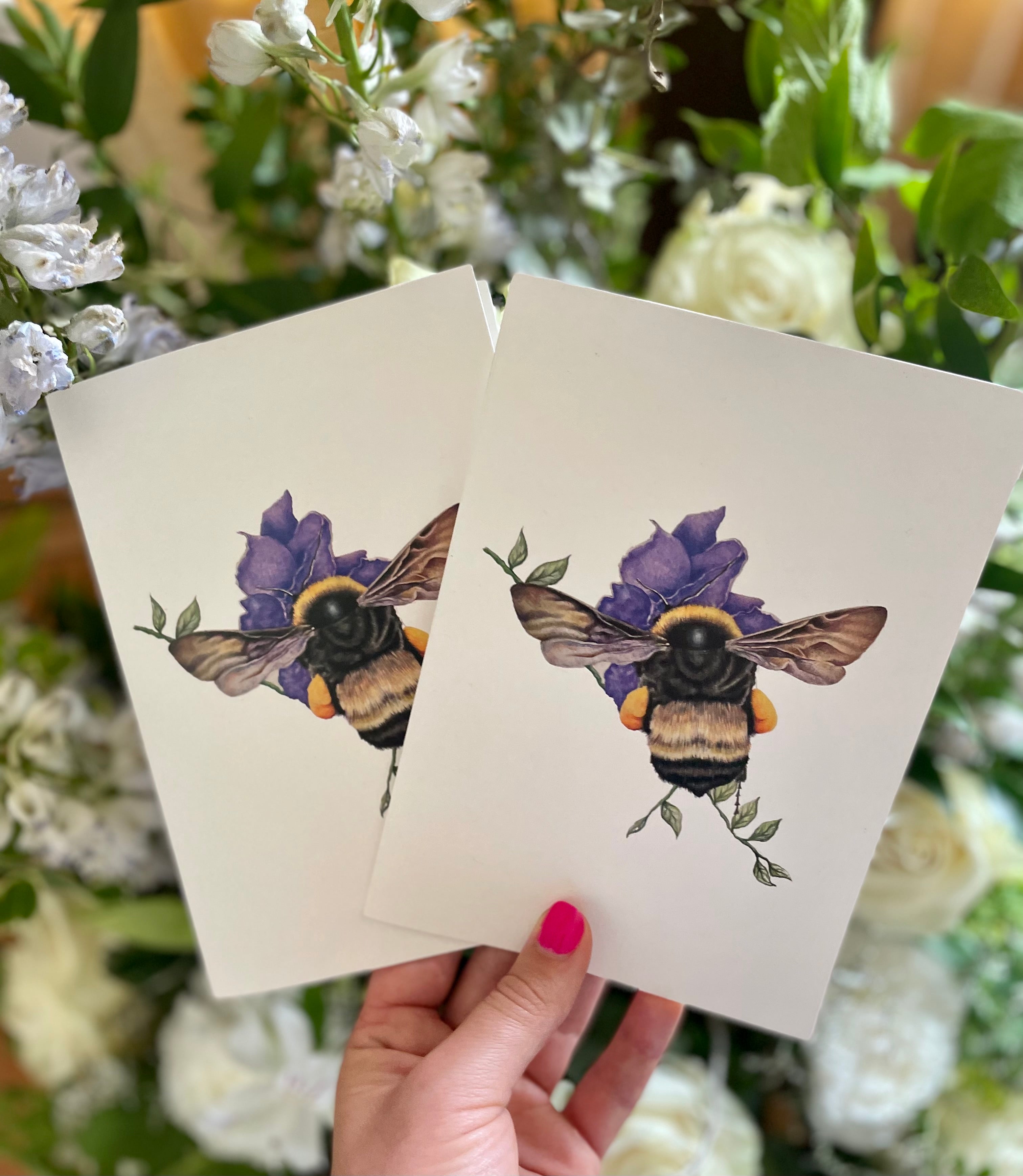Rach Elizabeth Wildlife coloured pencil art and gifts – Rachelizabethartist